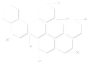 LUESA | Lubrificantes Especiales S.A