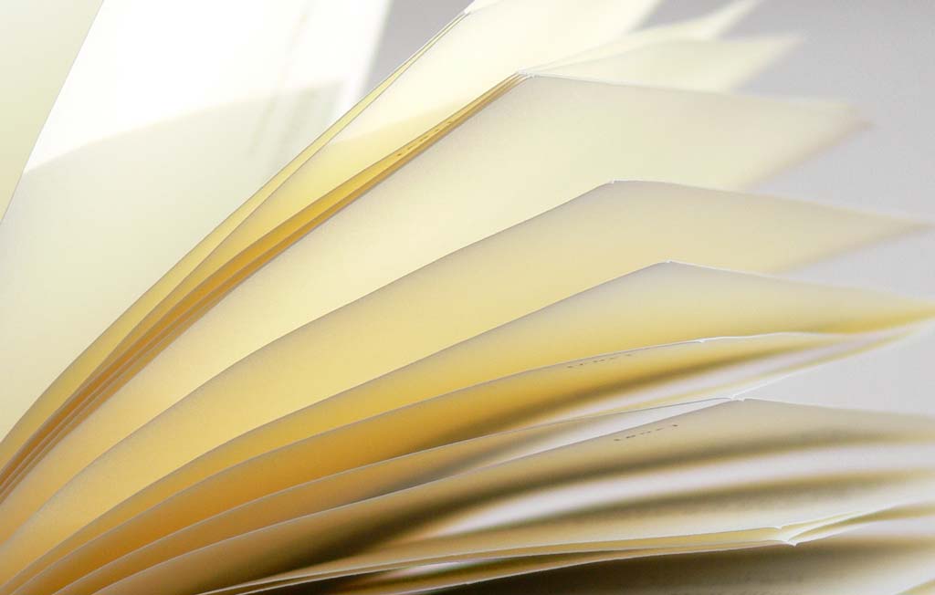 SYNCRON - Luesa Lubrificantes Especiales S.A.